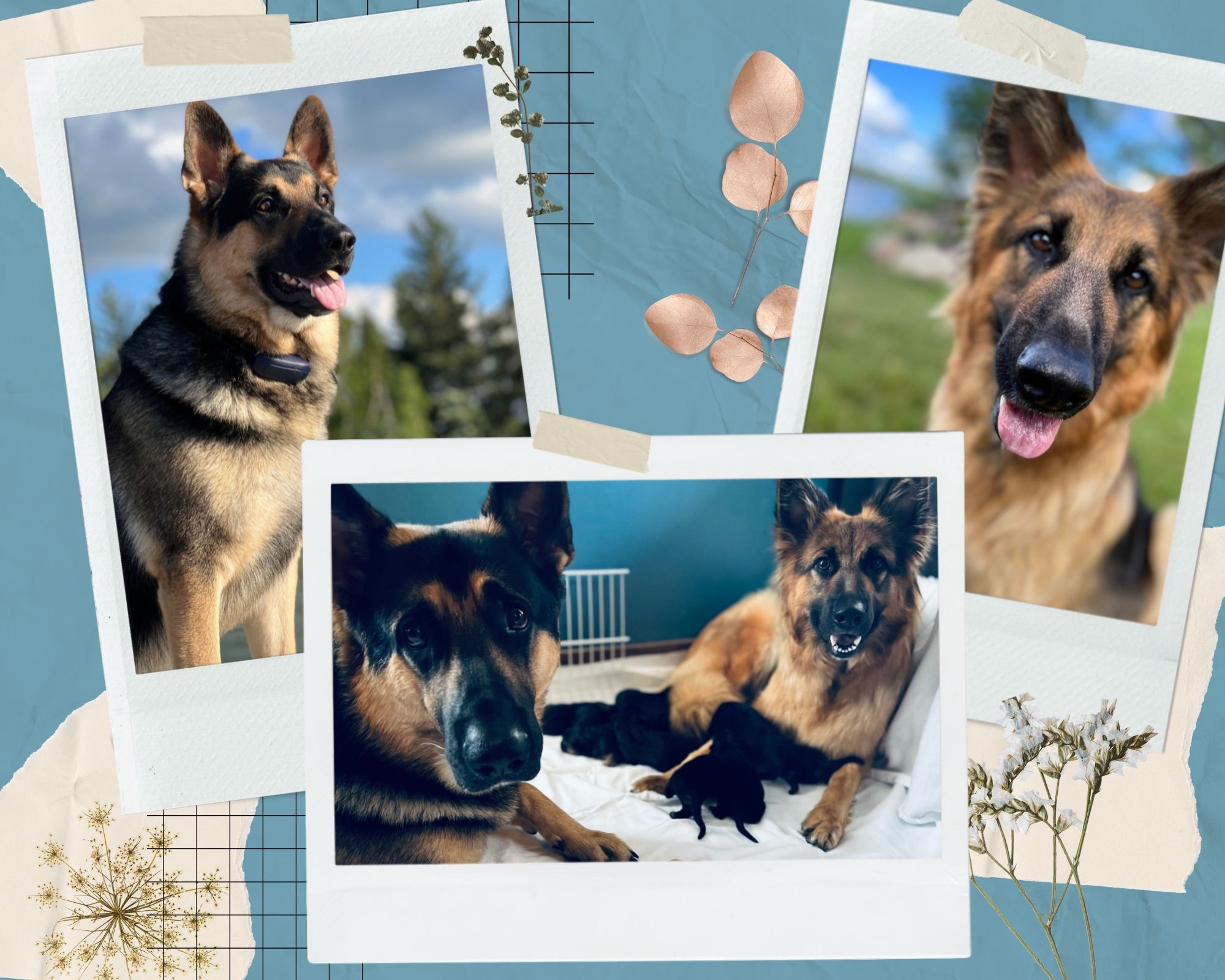 Welcome - Jessica Hemann - Teacher - Southern Minnesota Education ...